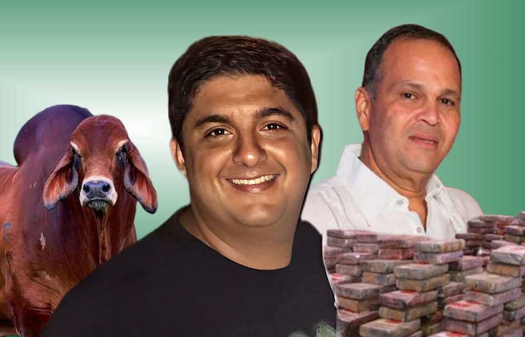 Los Rujano Garófalo en la mira de la justicia: Acusaciones de ...